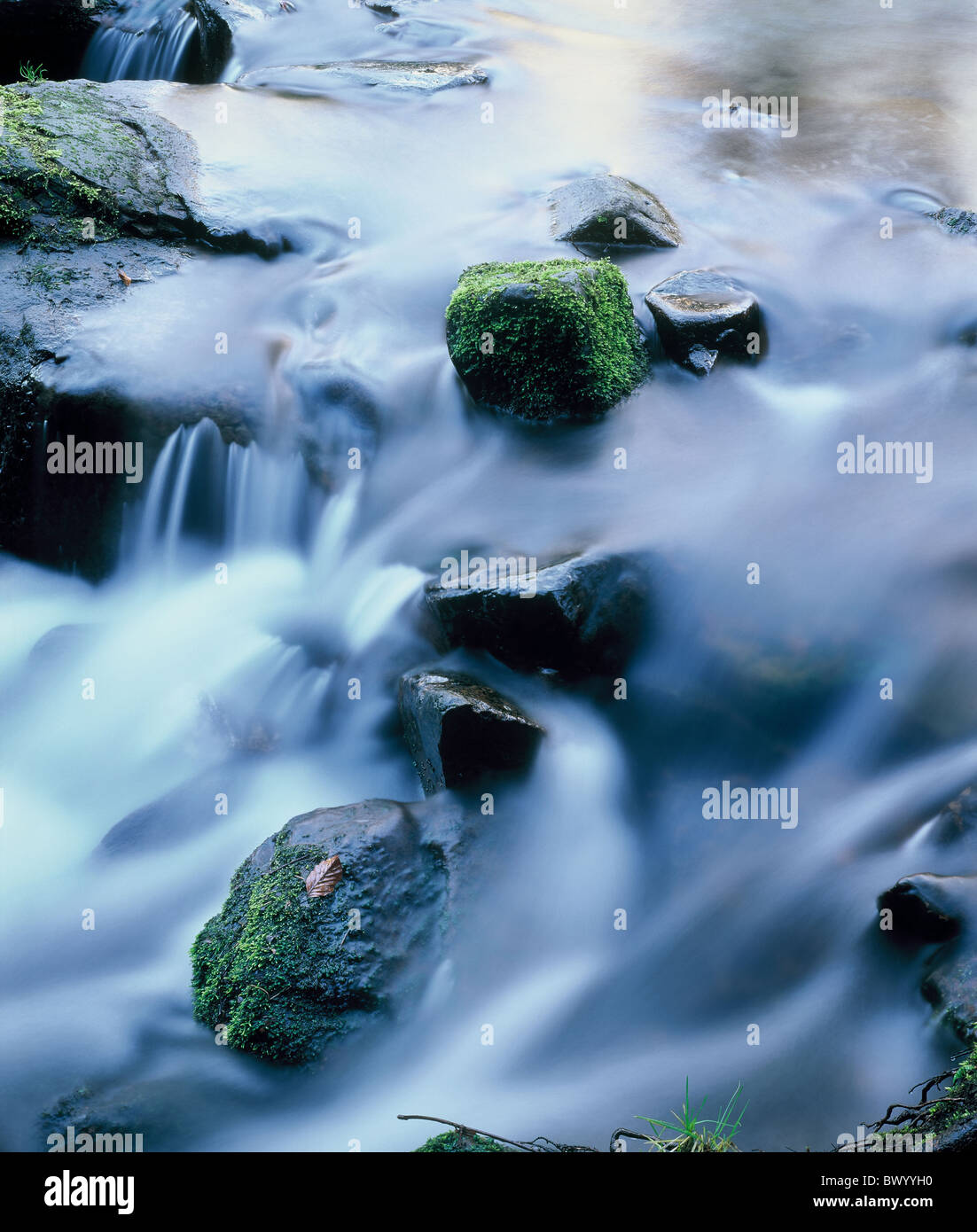 brook stream detail flow nature stone Waters Stock Photo - Alamy