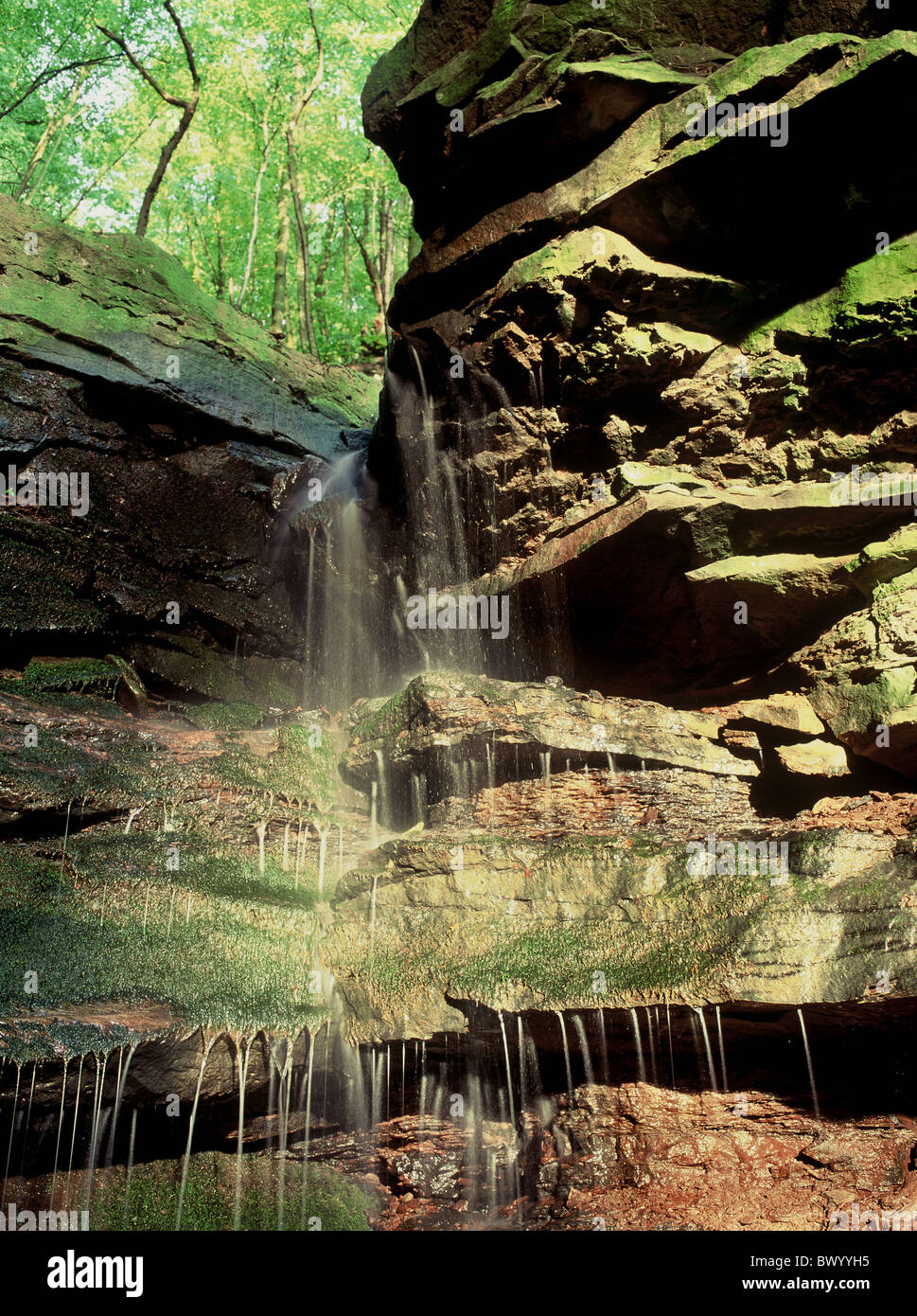 brook stream detail flow nature stone waterfall Waters Stock Photo - Alamy
