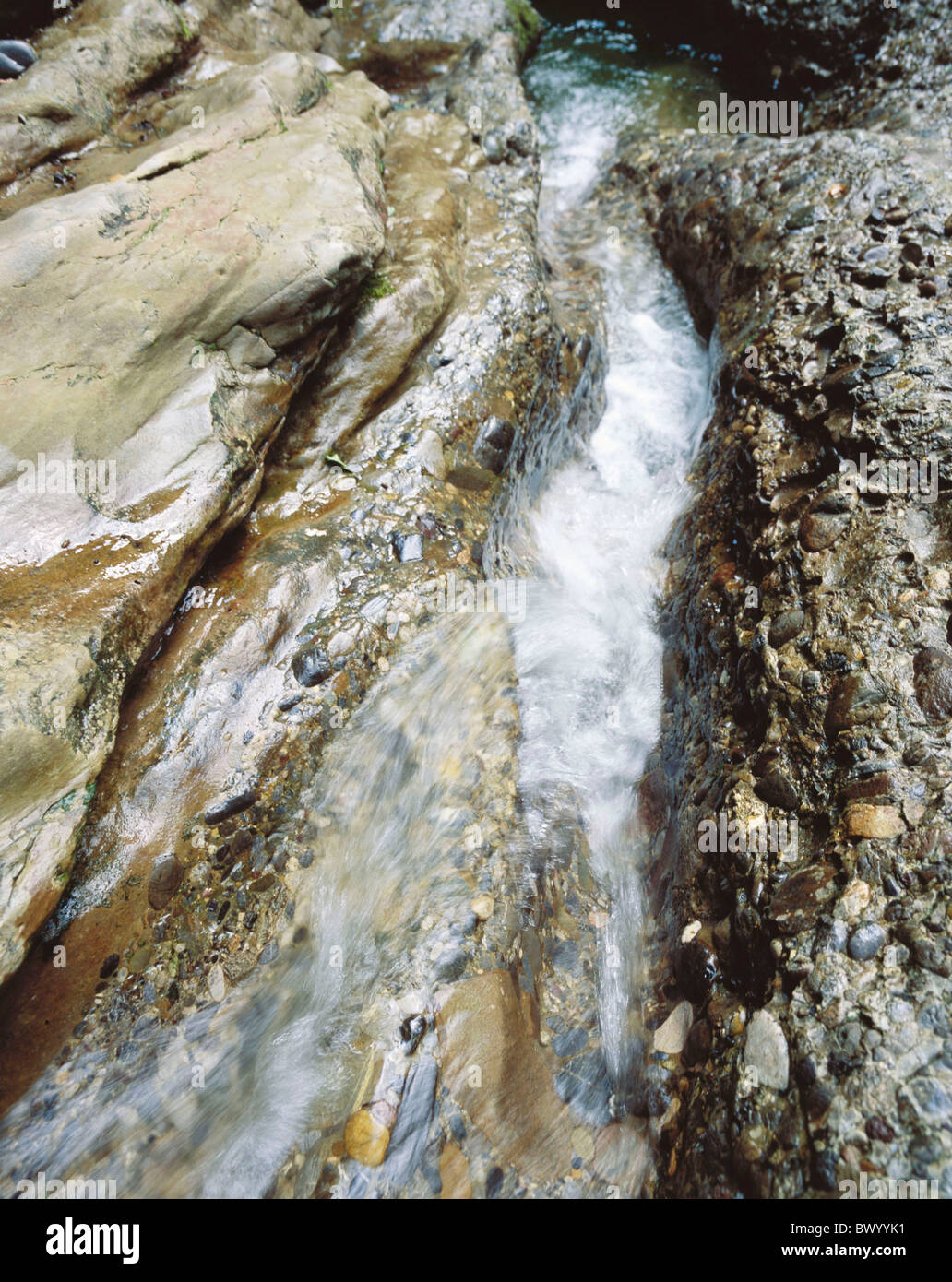 Creek brook detail rock cliff canton St. Gallen Nagelfluh Necker rivlet ...