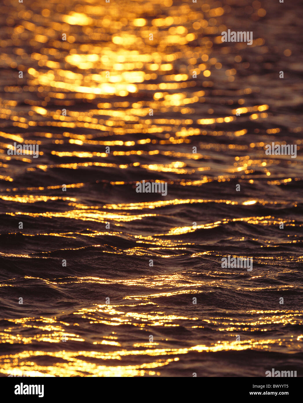 light reflections surface sundown mood water waves nature Stock Photo ...