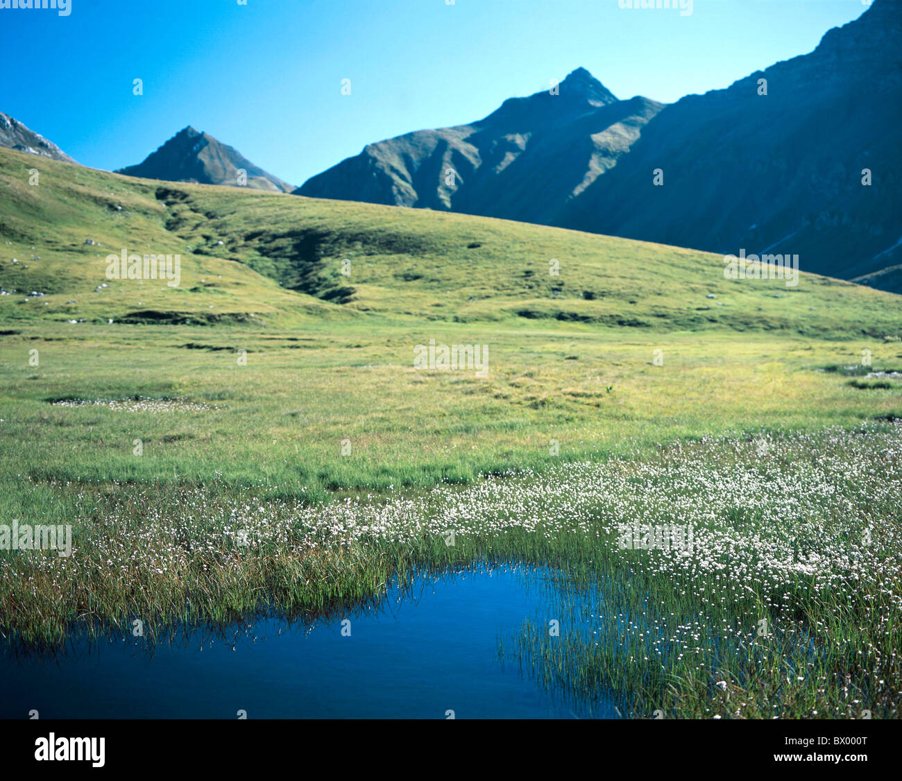 Greina plateau hi-res stock photography and images - Alamy