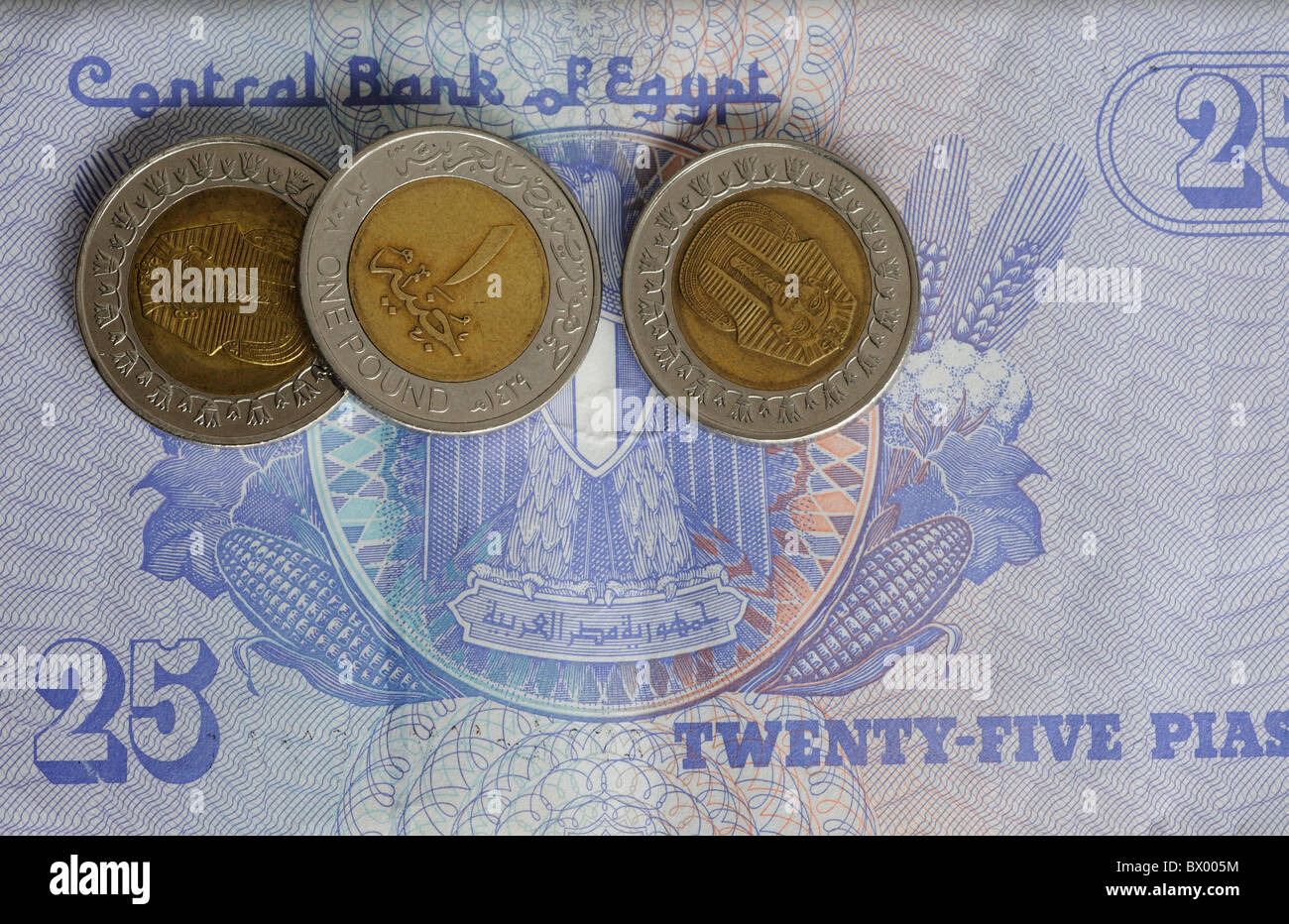 Egyptian money hi-res stock photography and images - Alamy