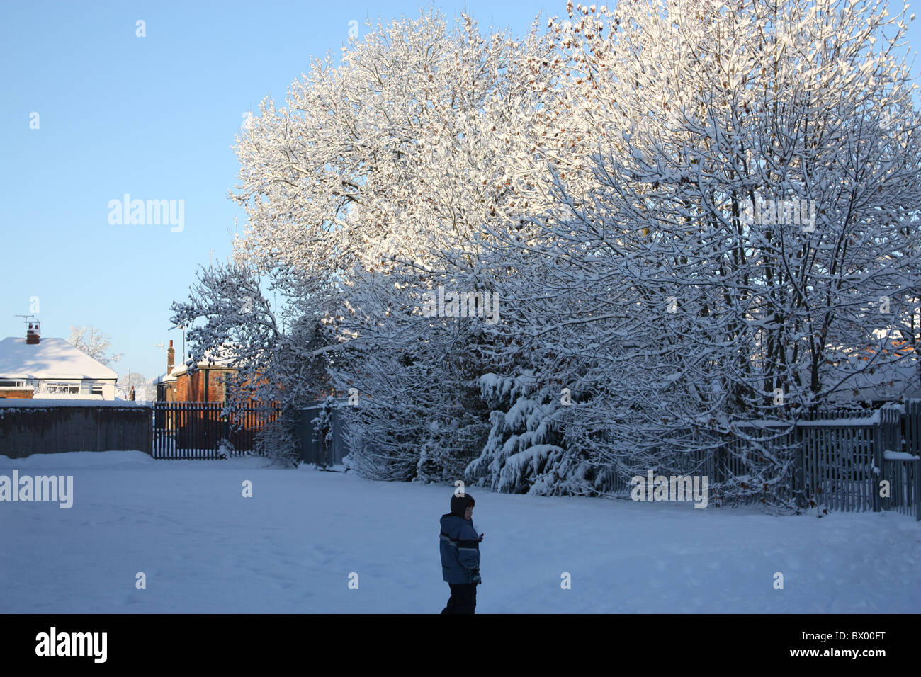 Ice picture hi-res stock photography and images - Alamy