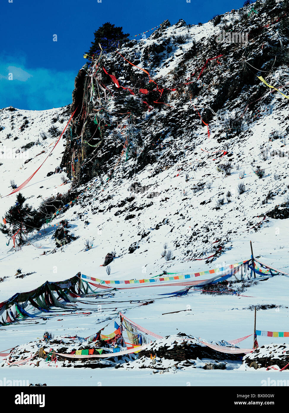 Prayer flags on the hillside, Shangri-la, DiQing Tibetan Autonomous ...
