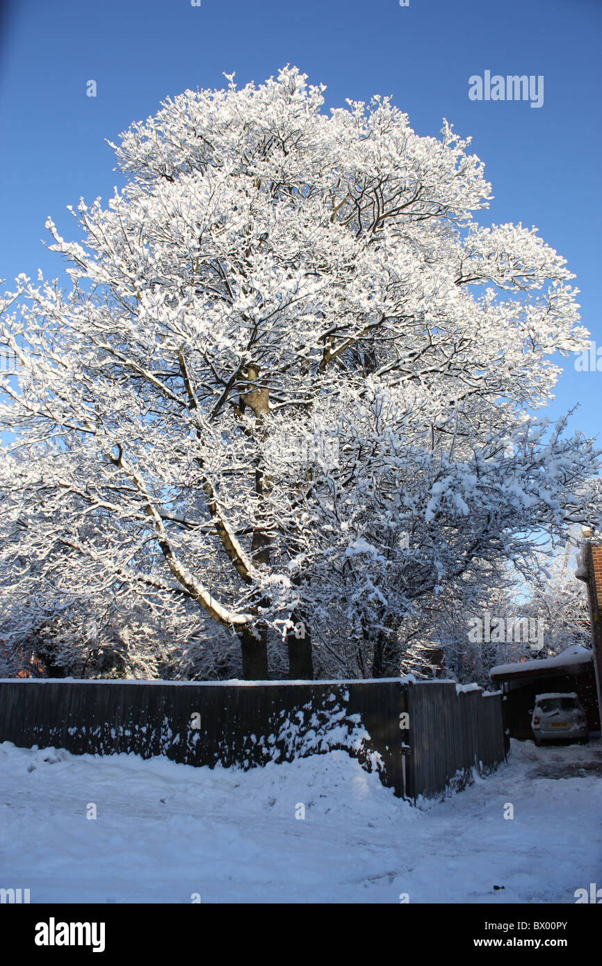 Ice picture hi-res stock photography and images - Alamy