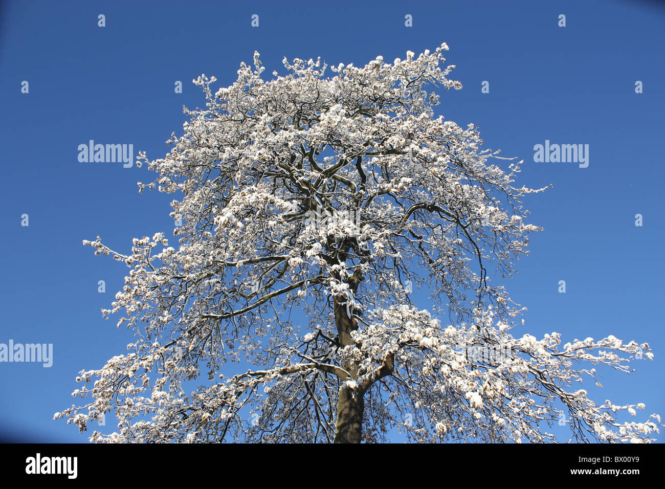 Ice picture hi-res stock photography and images - Alamy