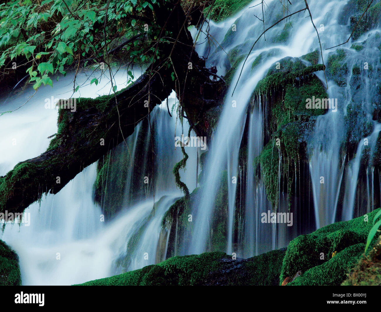 Waterfall in spring, Shangri-la, DiQing Tibetan Autonomous Prefecture ...