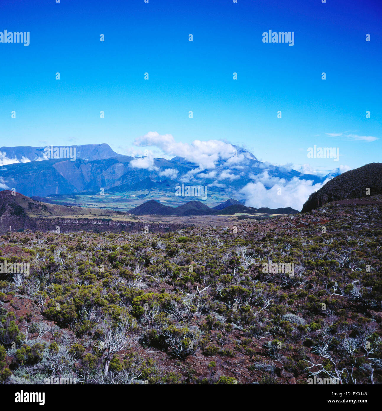 Fournaise La Reunion Indian ocean scenery Piton de la shrubs bushes ...