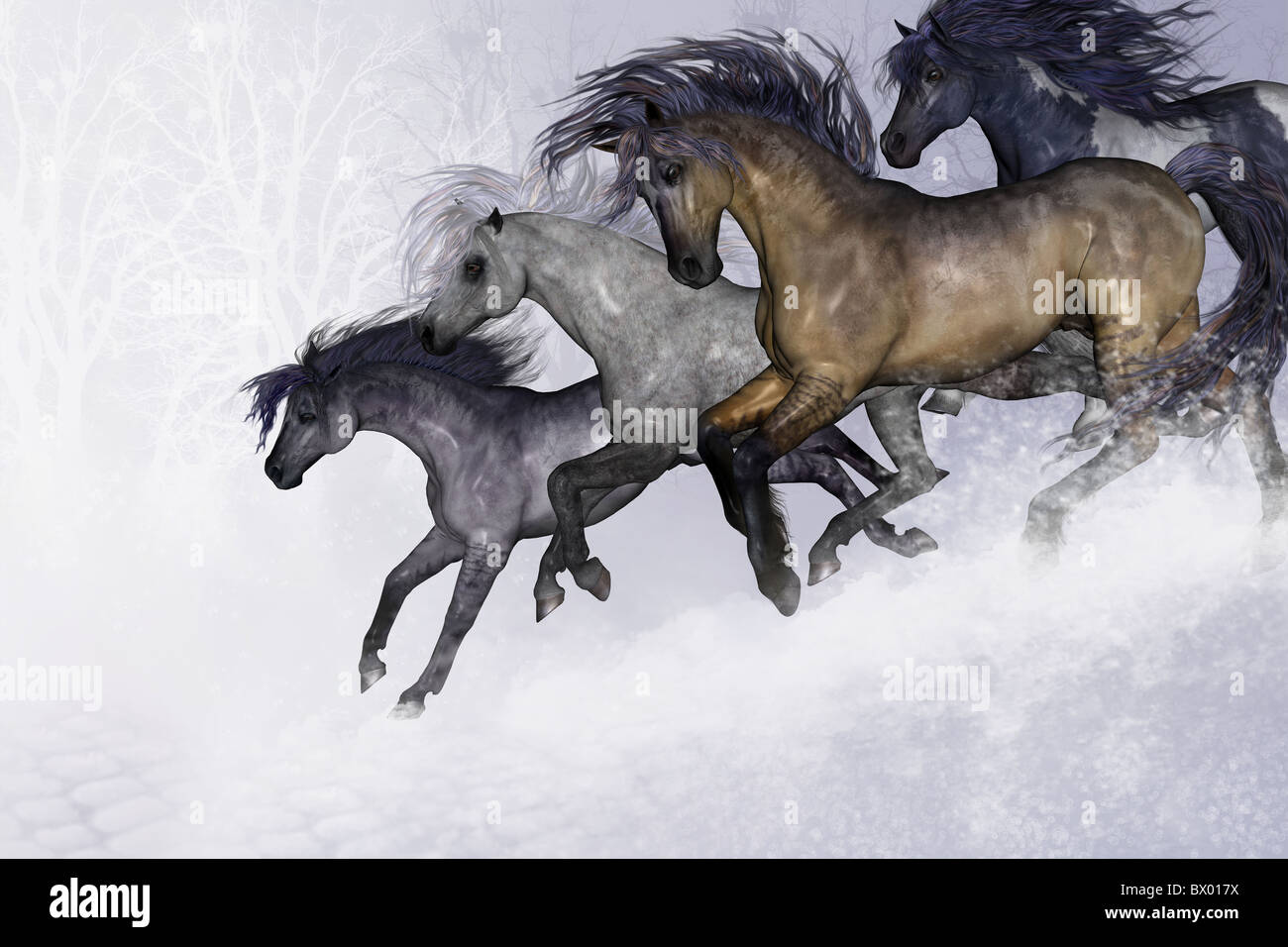 WINTER BLISS - Four beautiful wild horses run down a slope in this ...