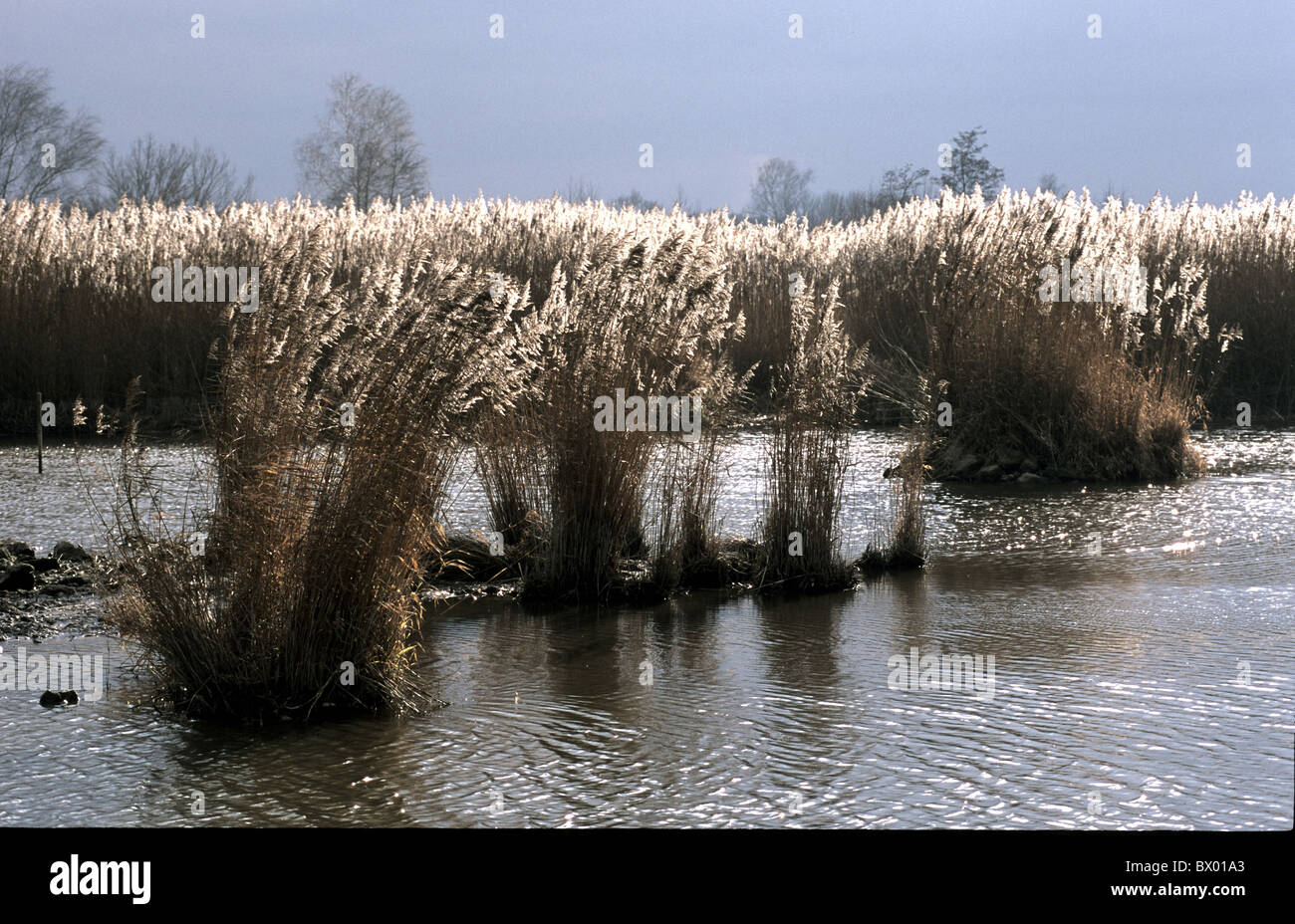 Silver reserve hi-res stock photography and images - Alamy