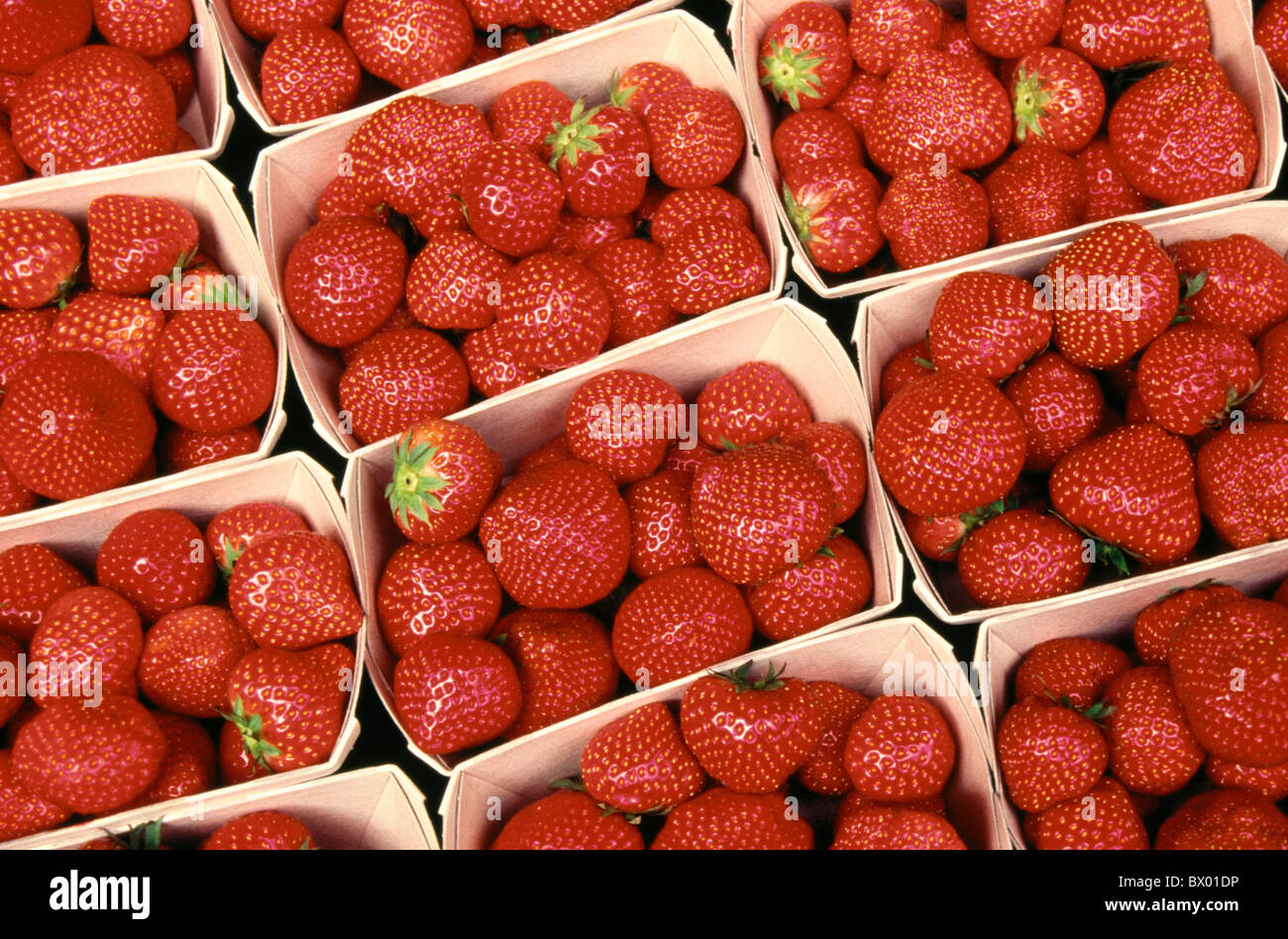 picture-filling concept strawberries several bowls shells Switzerland ...