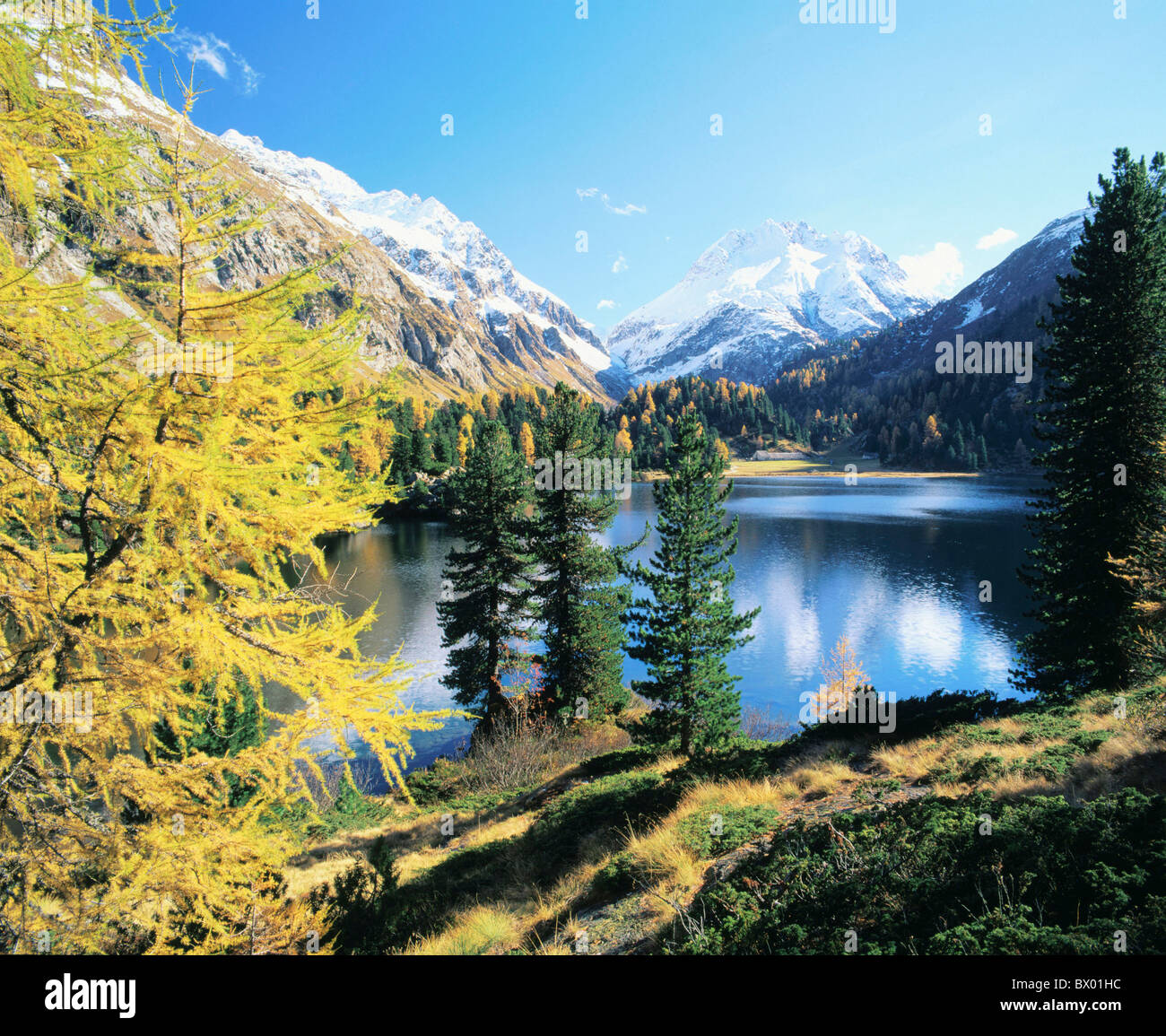 alpine Alps Graubunden Grisons Switzerland Europe autumn scenery Val ...