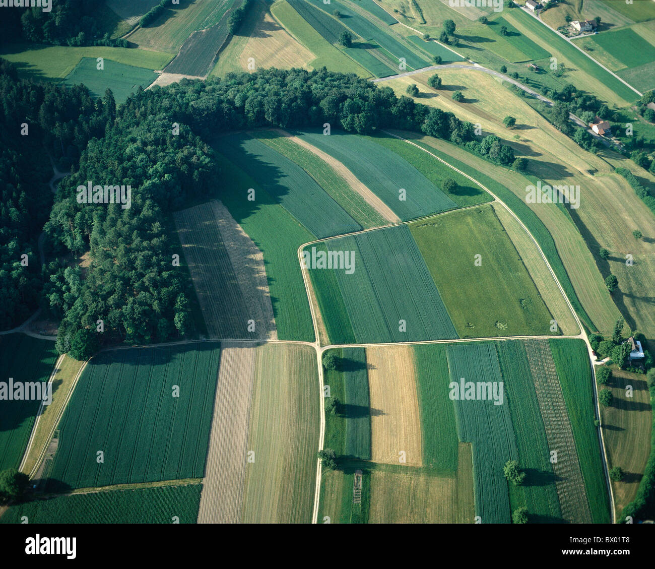 fields surfaces agriculture aerial photo aerial view Switzerland Europe ...