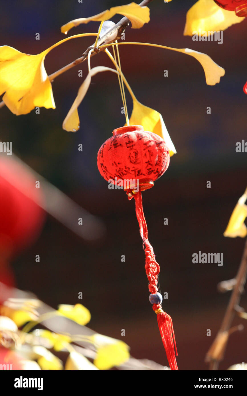 Red lanterns hanging on the prayer tree, Palace Of Avalokitesvara ...