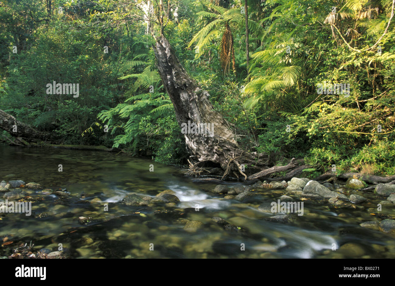 Australia Babinda Queensland Boulders Wildland Park Wooroonooran ...