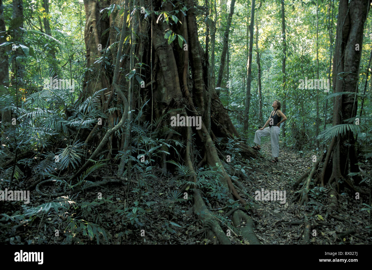 Palmerston national park hi-res stock photography and images - Alamy