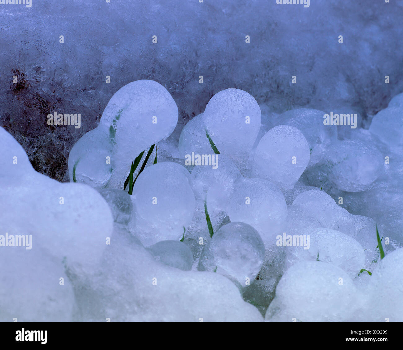 winter ice detail cold frozen Stock Photo - Alamy