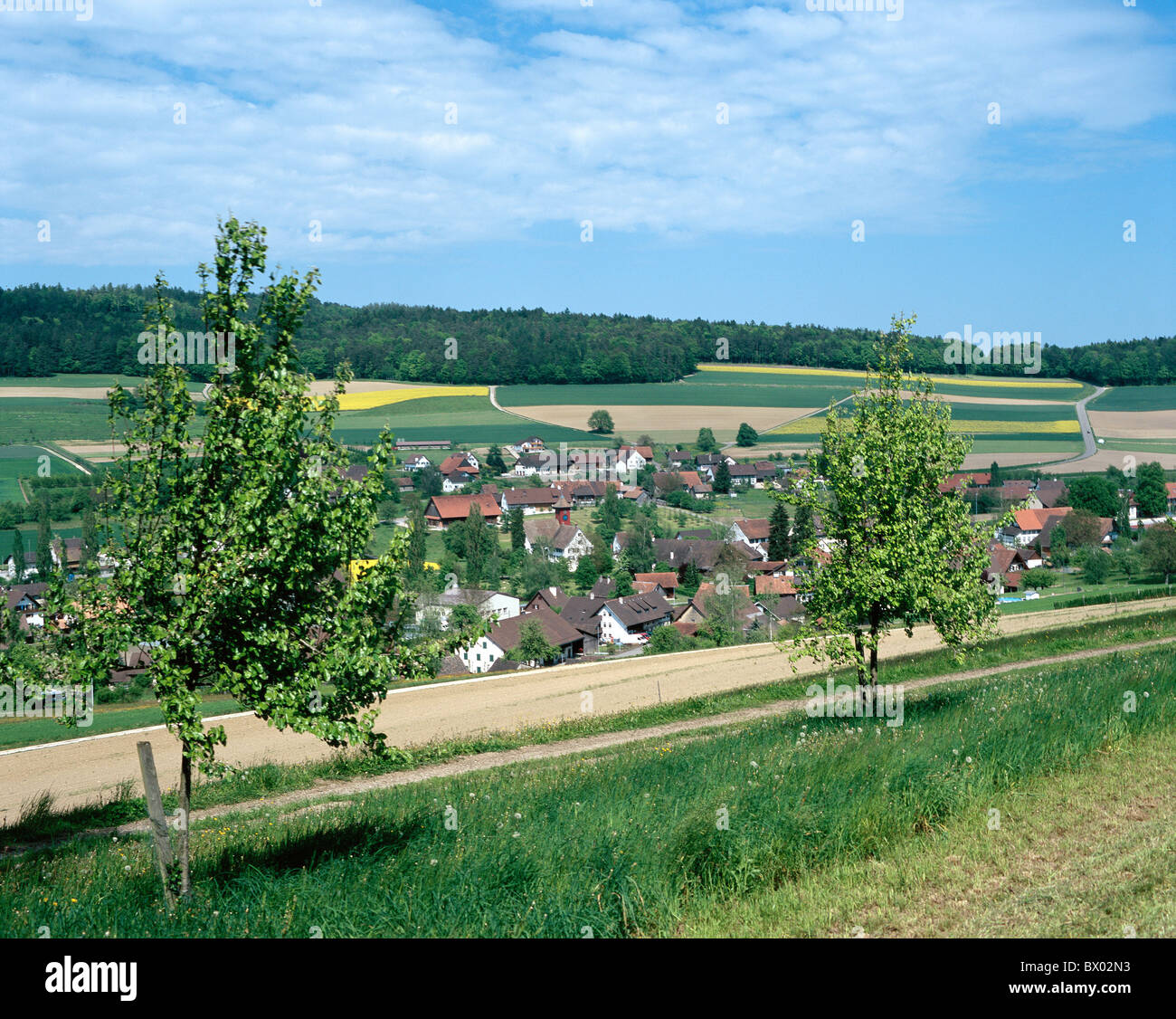 Zurich forest hi-res stock photography and images - Alamy