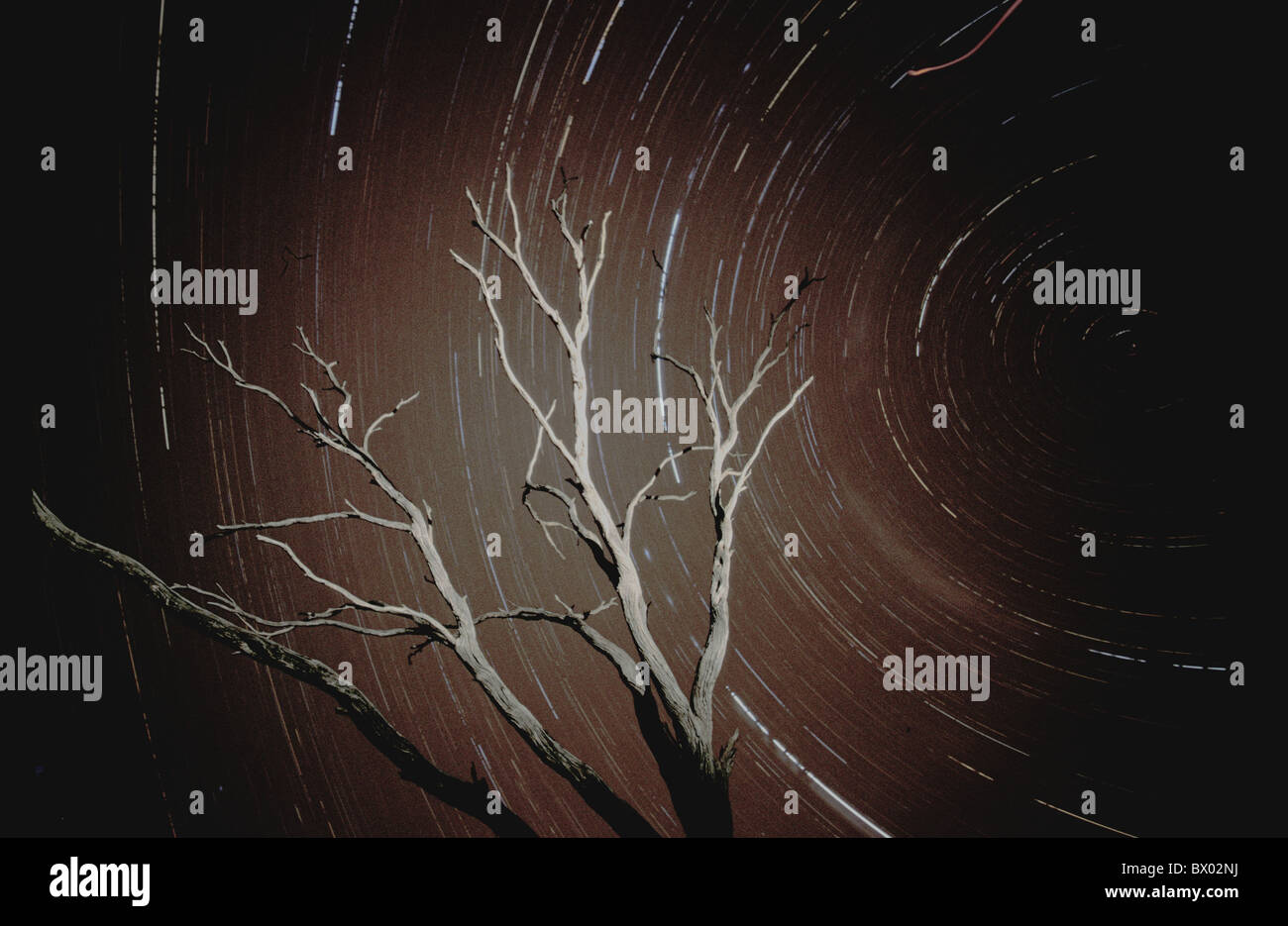 Southern australia hi-res stock photography and images - Alamy