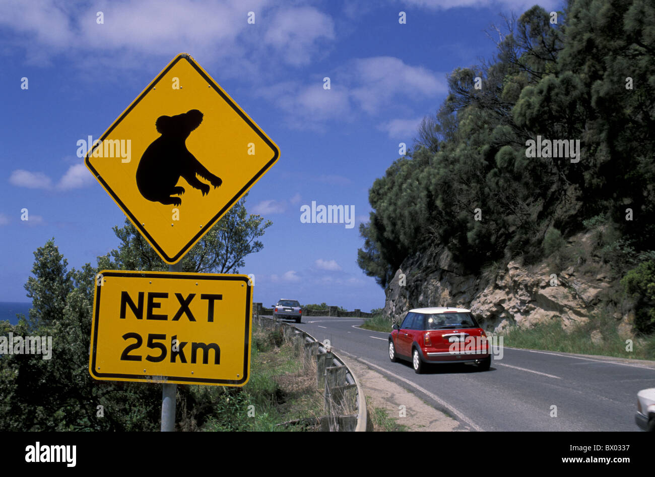 Australia Great Ocean Road Koala Mount Defiance Lookout Victoria street ...