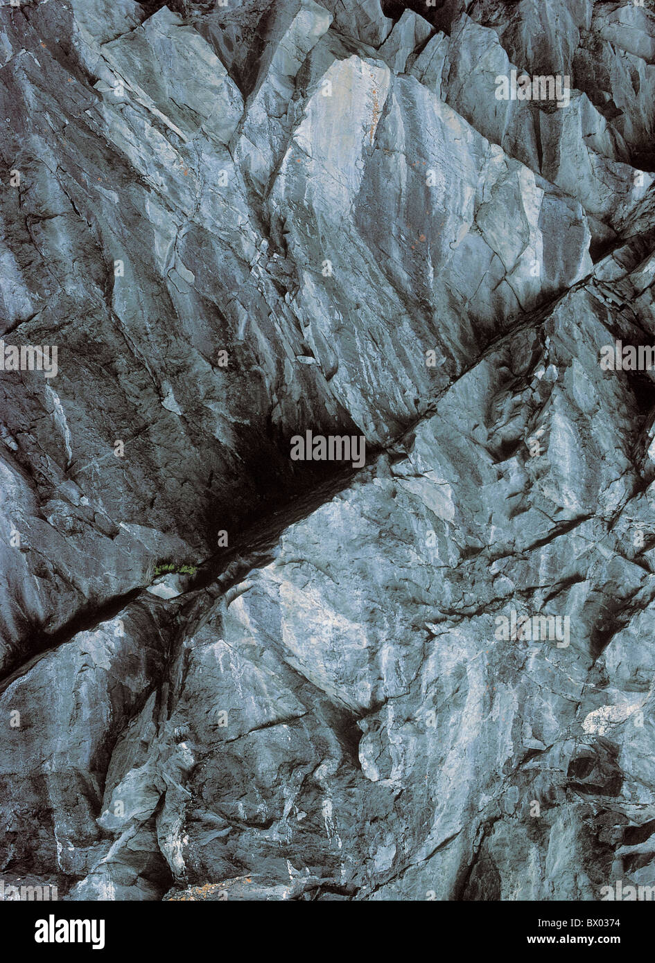 rocks cliffs cliff wall rock gray plant stone cleft Stock Photo - Alamy