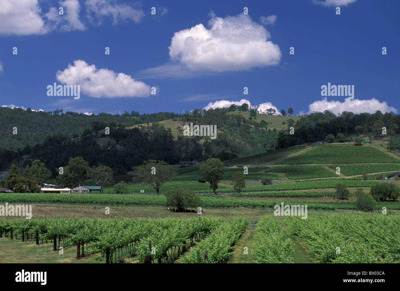 Cessnock australia hi-res stock photography and images - Alamy