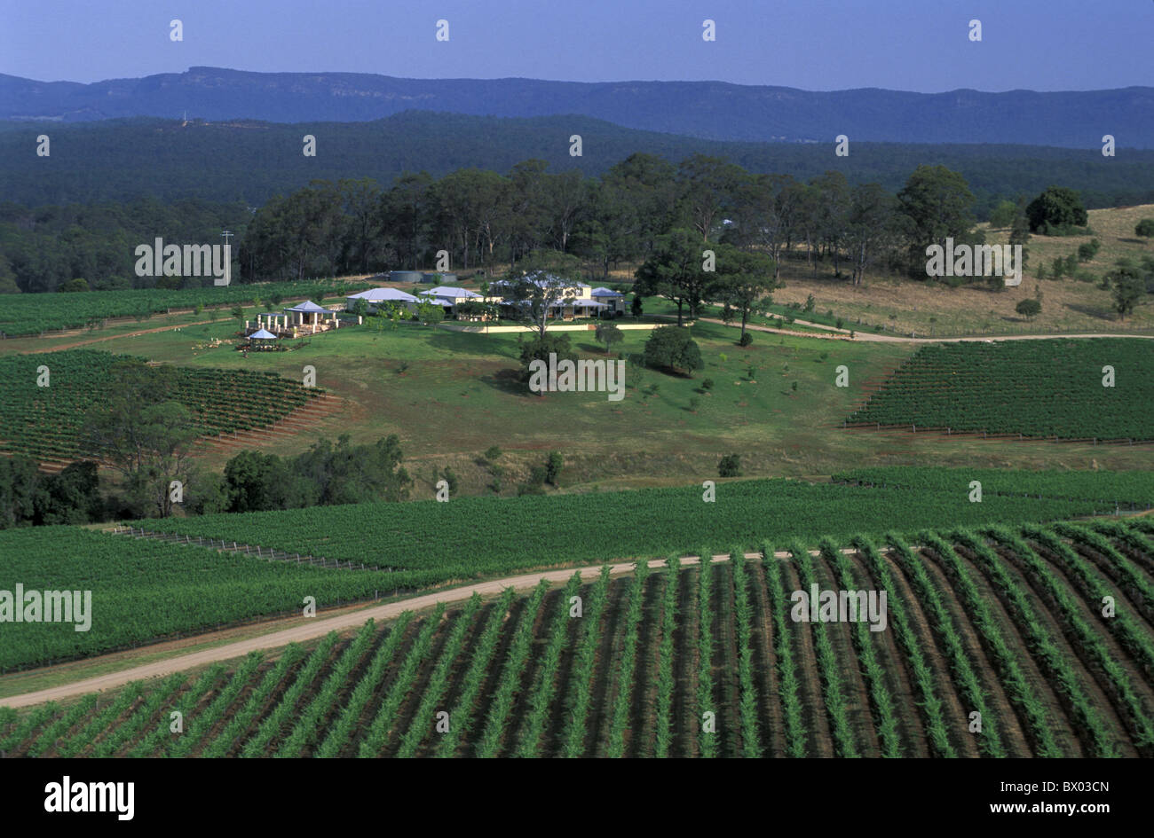 Australia near Cessnock New South Wales Lower Hunter Valley wine ...