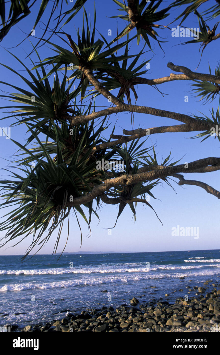 Australia Noosa Heads Noosa Heads national park Queensland Sunshine ...