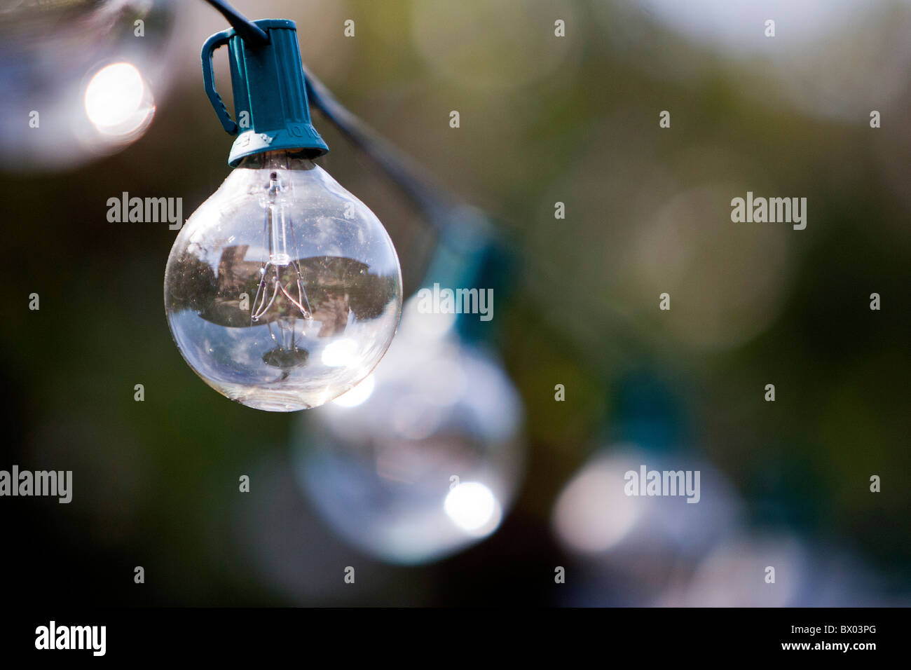 An incandescent light bulb on a string of lights Stock Photo - Alamy