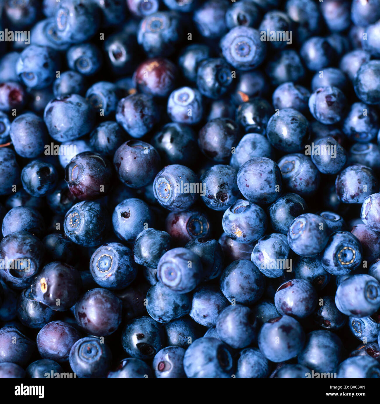 berries picture-filling concept fruits blueberrys food eating Stock ...