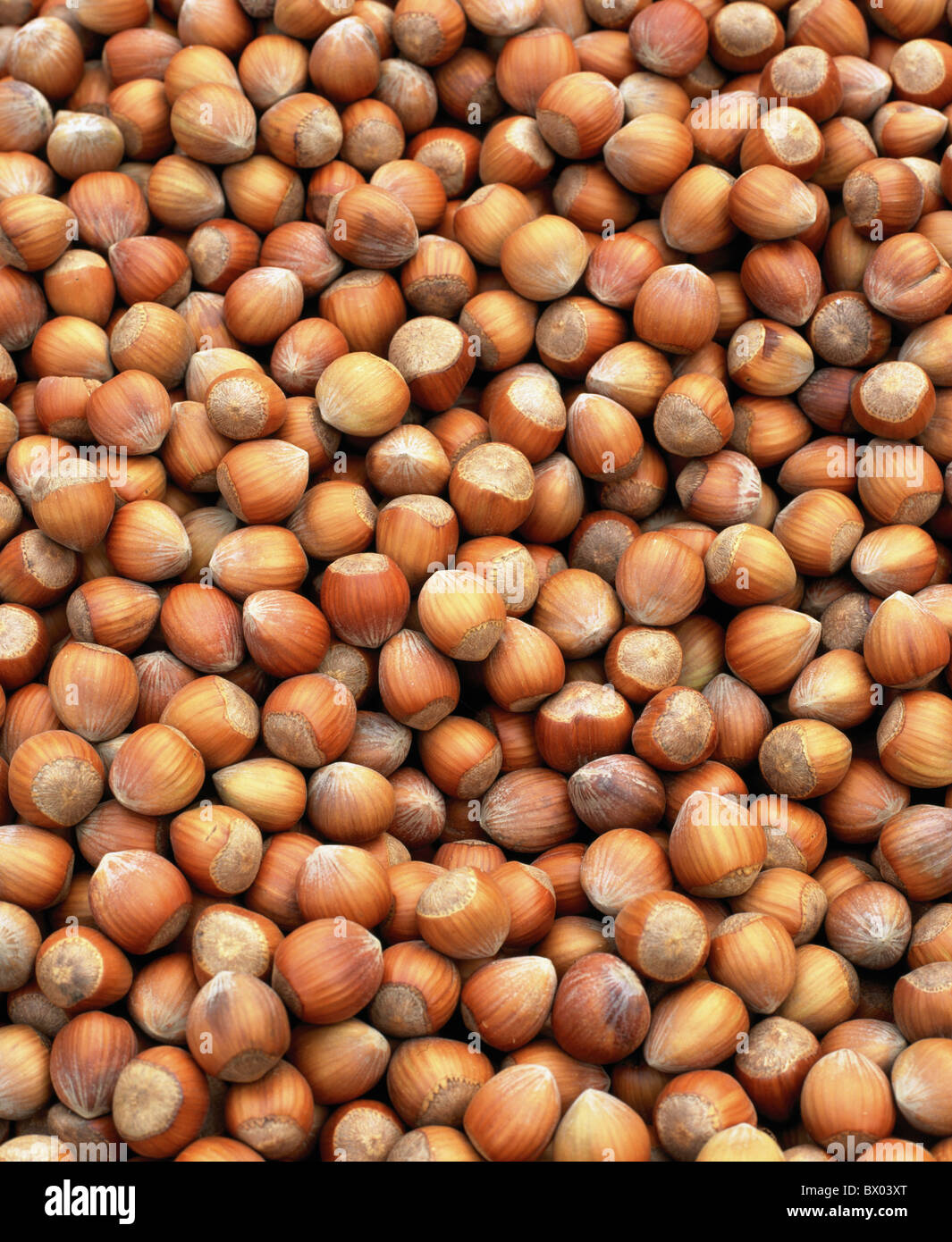 picture-filling concept hazelnuts nuts food eating Stock Photo - Alamy