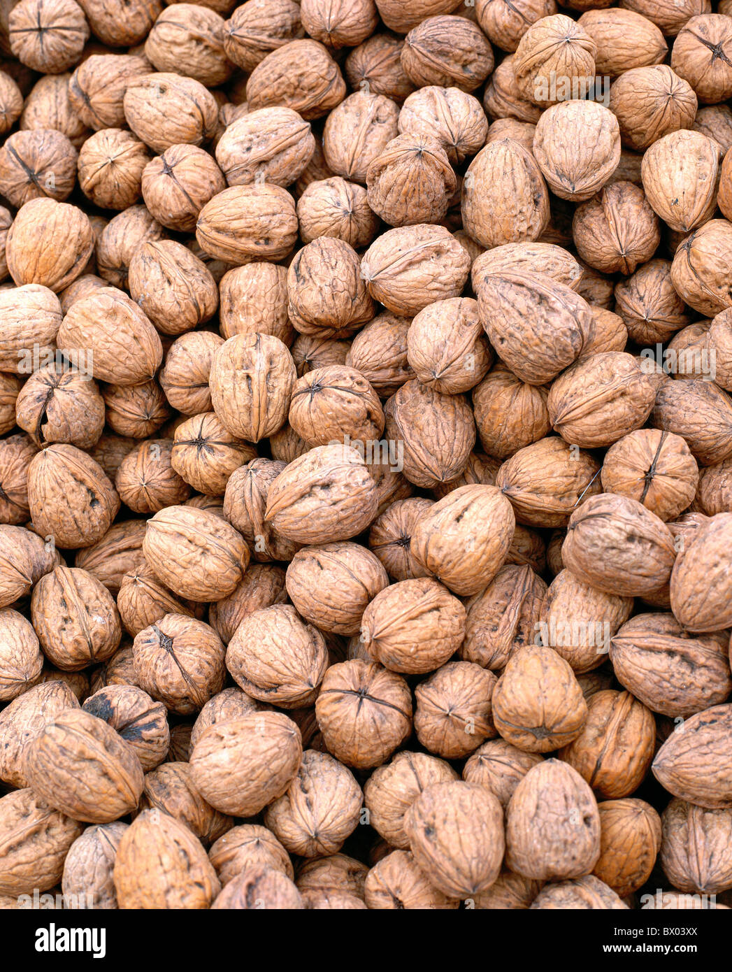 picture-filling concept nuts walnuts food eating Stock Photo - Alamy