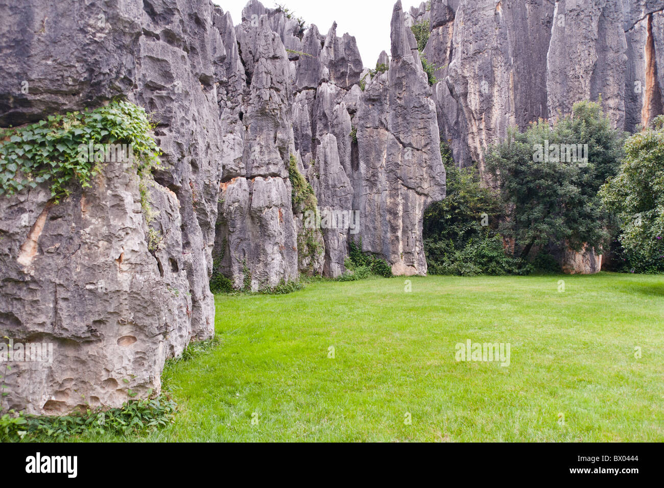 Shilin, Stone Forest, Shilin Yi, near Lunan and Kunming, Yunnan ...
