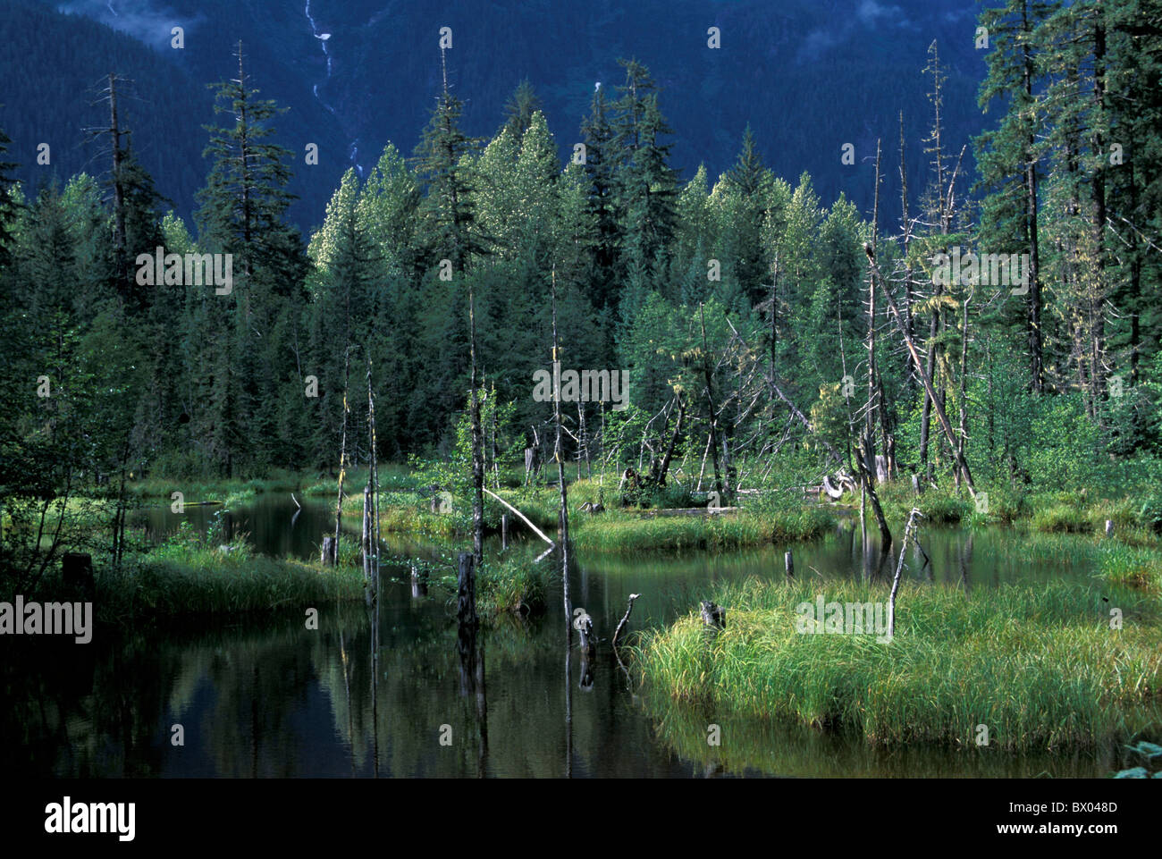 White north america hi-res stock photography and images - Alamy