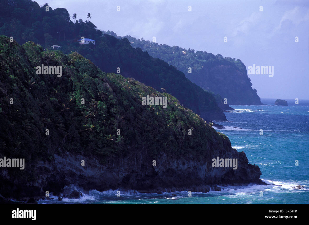 cliffs coast Dominica East coast scenery landscape sea steep coast surf ...
