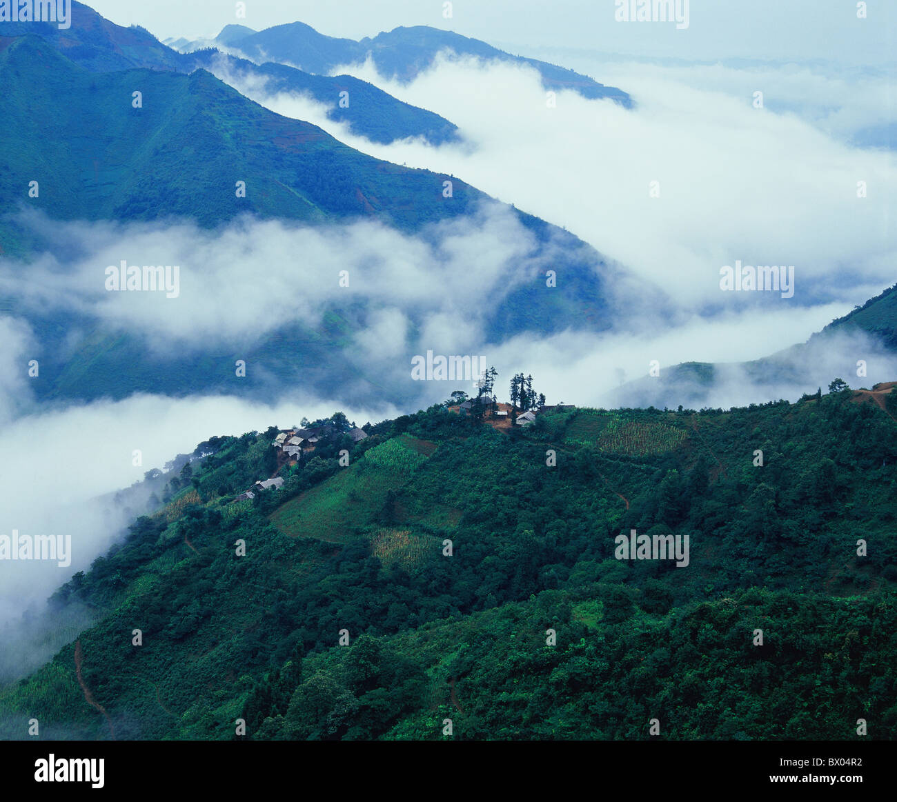 Longlin High Resolution Stock Photography and Images - Alamy