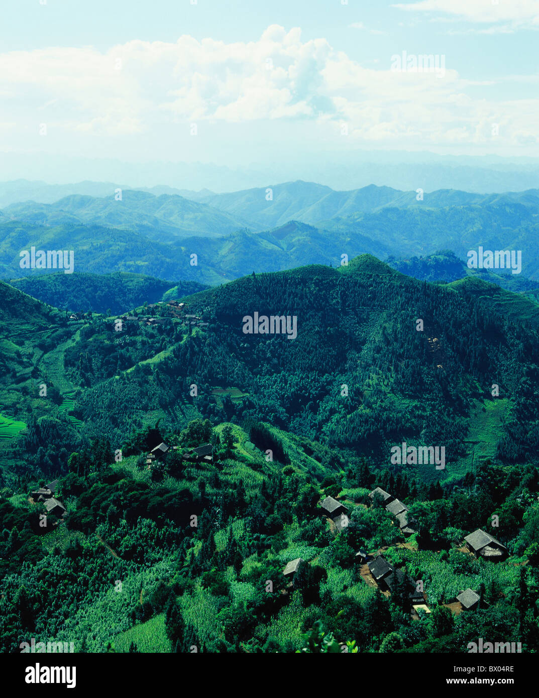 Longlin hi-res stock photography and images - Alamy