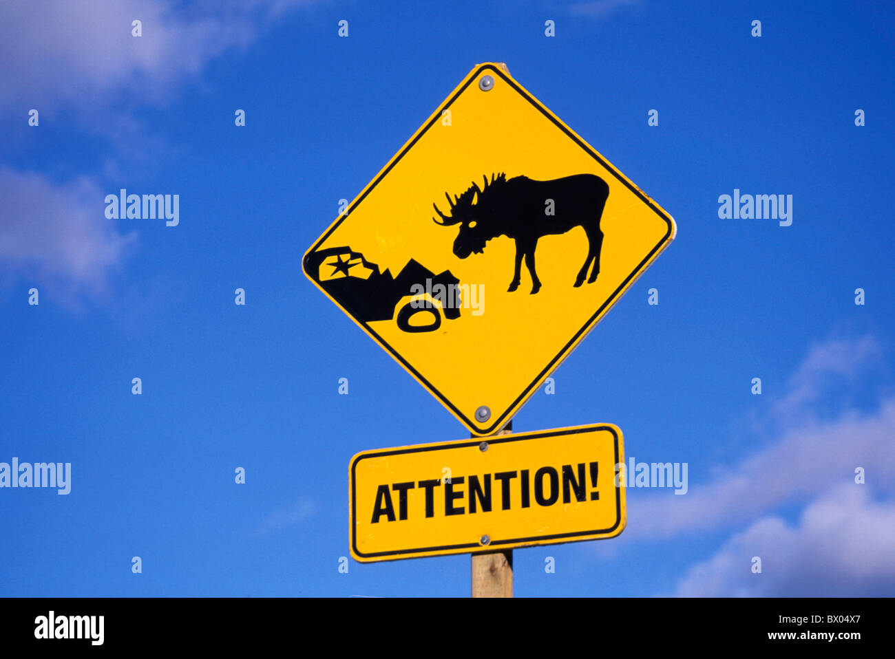 Newfoundland moose road sign hi-res stock photography and images - Alamy