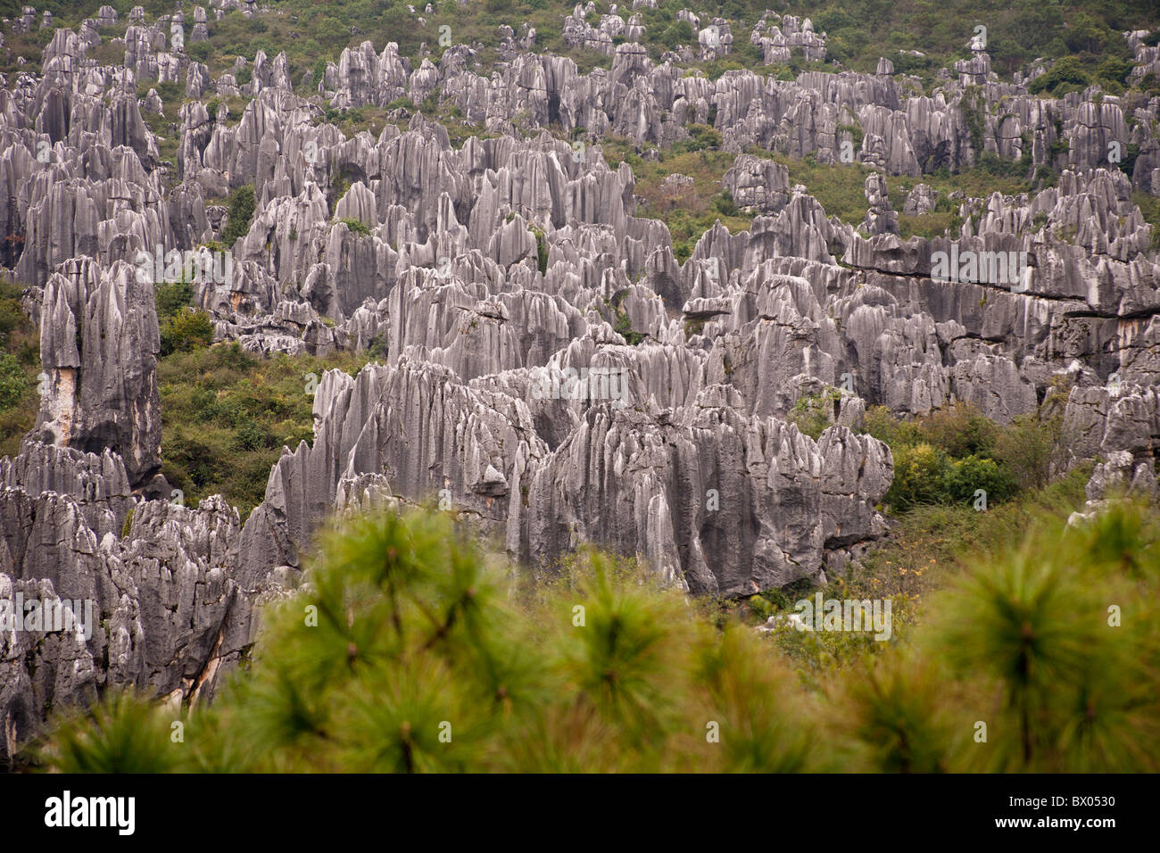 Shiling hi-res stock photography and images - Alamy