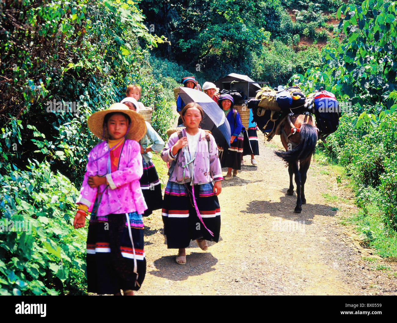 Longlin hi-res stock photography and images - Alamy