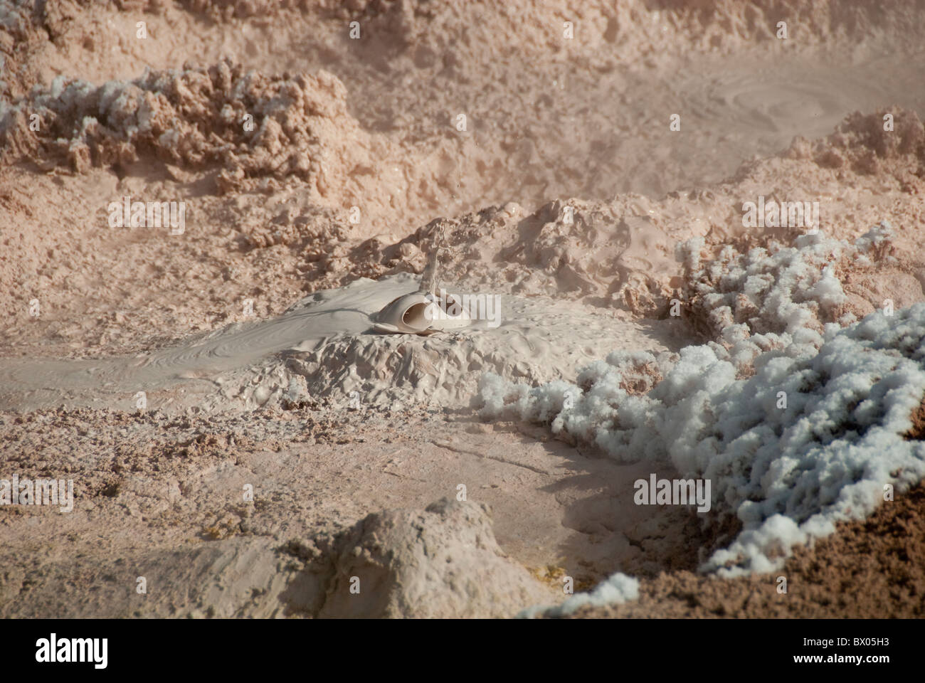 USA, Wyoming. Yellowstone National Park. Lower Geyser Basin, Fountain ...