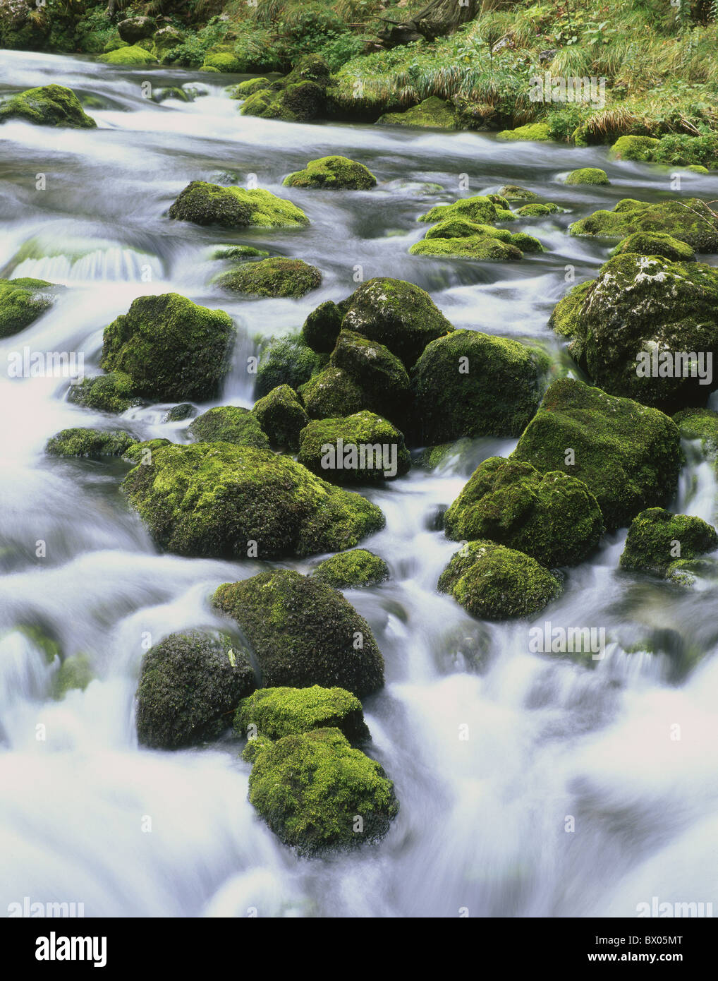 river flow mountains stones moss covered Creek brook nature water ...