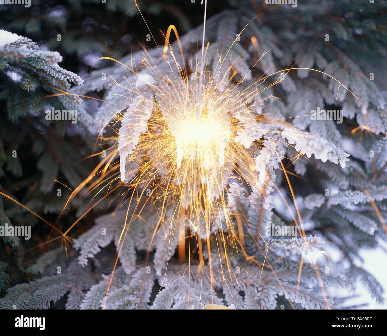 Christmas tree detail spark fir branches freezes over Christmas ...