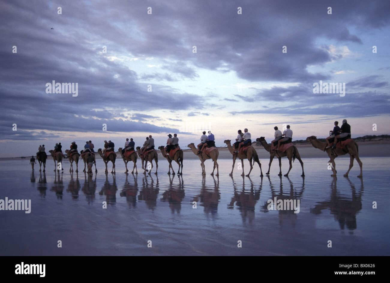 Caravan animal hi-res stock photography and images - Alamy