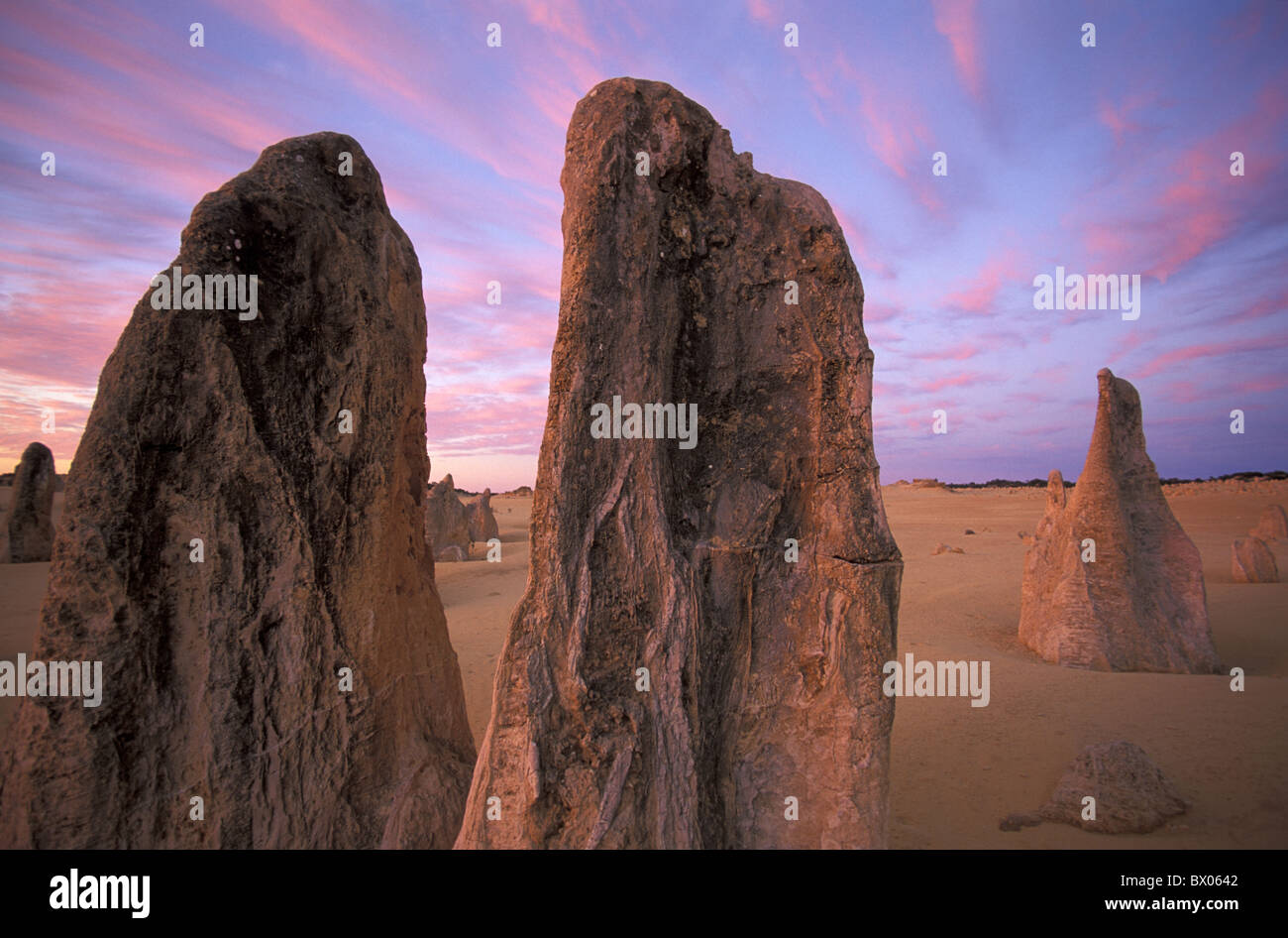 Australia cliff needles cliff towers dusk mood Nambung national park ...