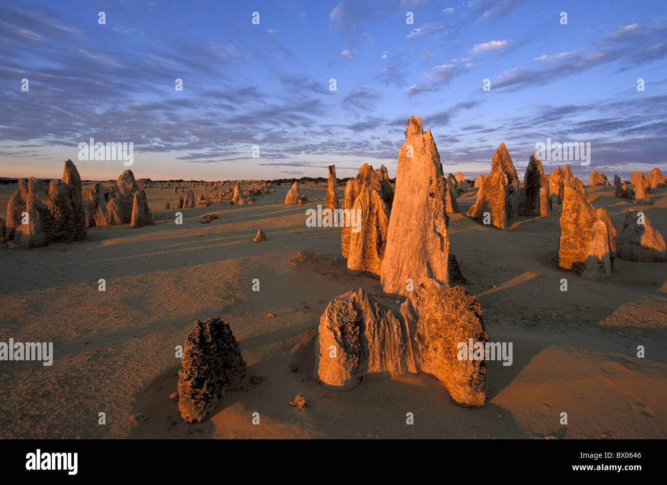 Australia cliff needles cliff towers dusk mood Nambung national park ...