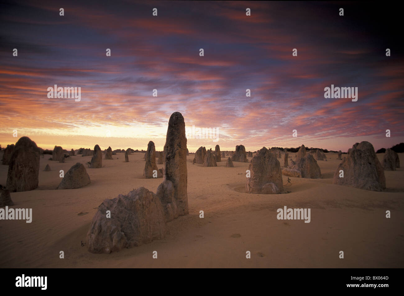 Australia cliff needles cliff towers dusk mood Nambung national park ...