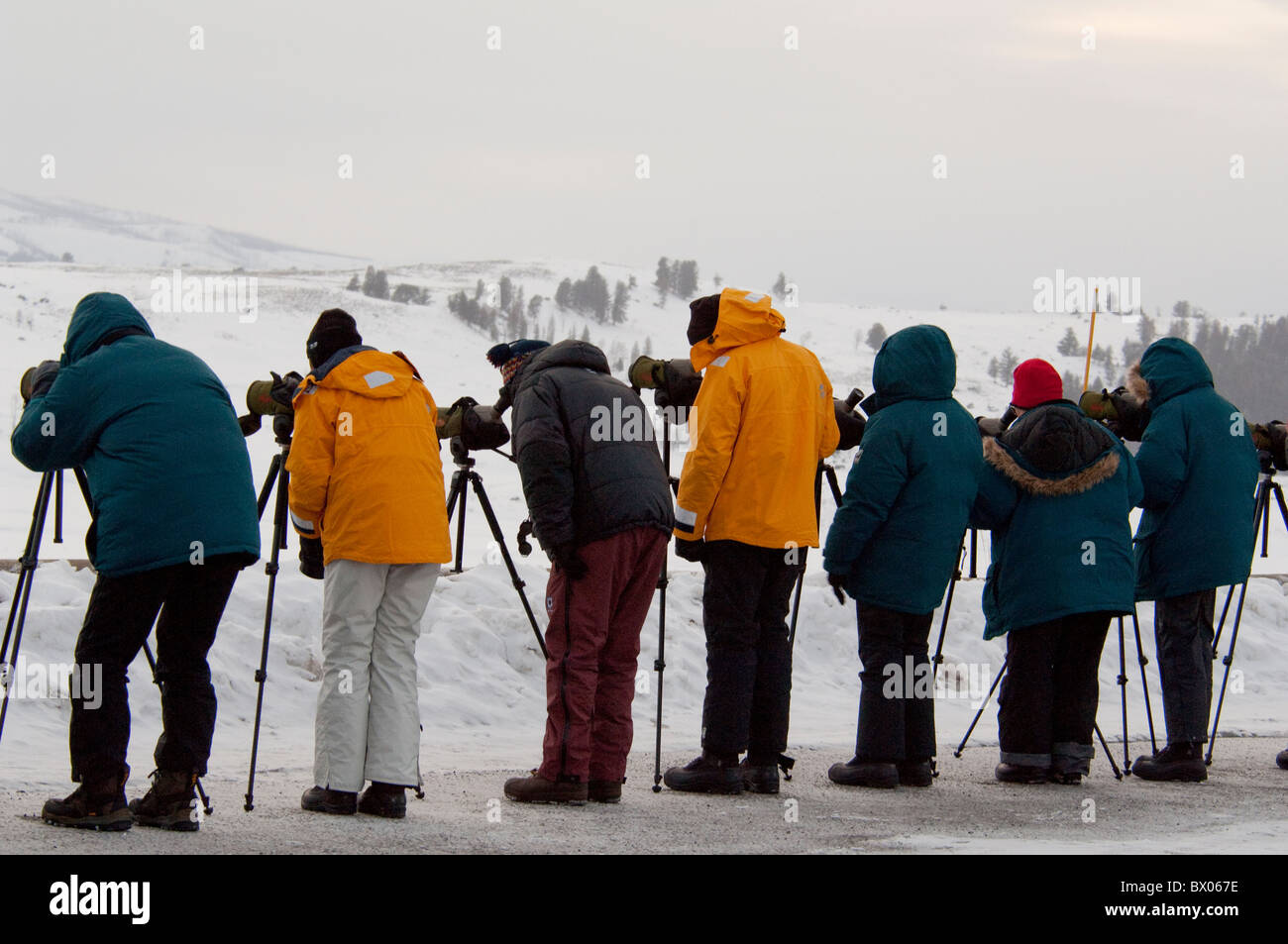Wildlife spotting scope hi-res stock photography and images - Alamy