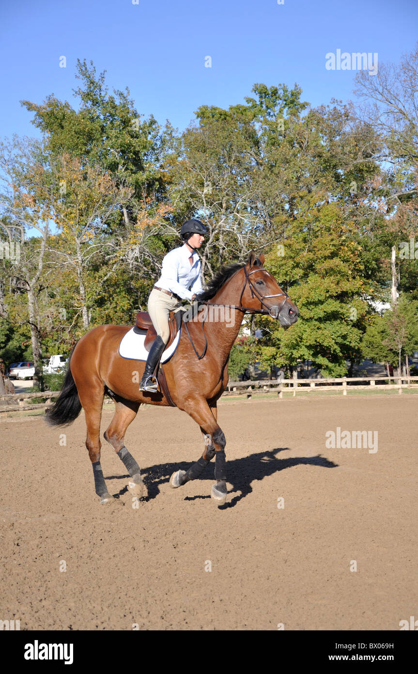 Equestrian competition teenager hi-res stock photography and images - Alamy