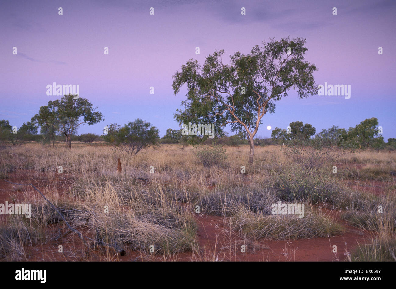Australia Barkly Homestead desert dusk Northern Territory Outback ...